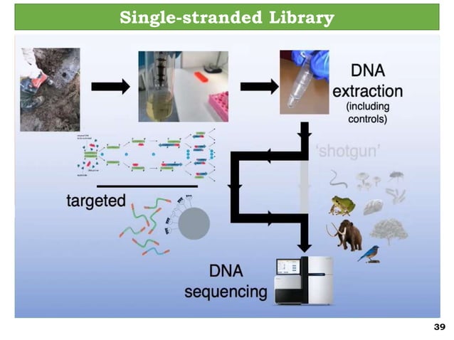 Paleogenomics: Connecting the dots of crop evolution | PPTX
