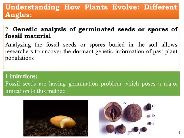Paleogenomics: Connecting the dots of crop evolution | PPTX