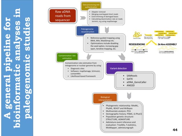 Paleogenomics: Connecting the dots of crop evolution | PPTX