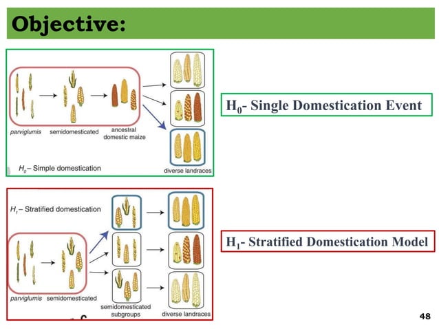 Paleogenomics: Connecting the dots of crop evolution | PPTX