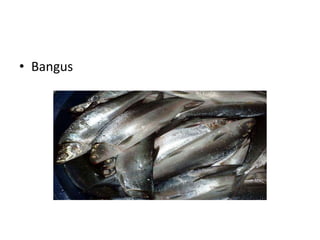 Pambansang sagisag | PPTX