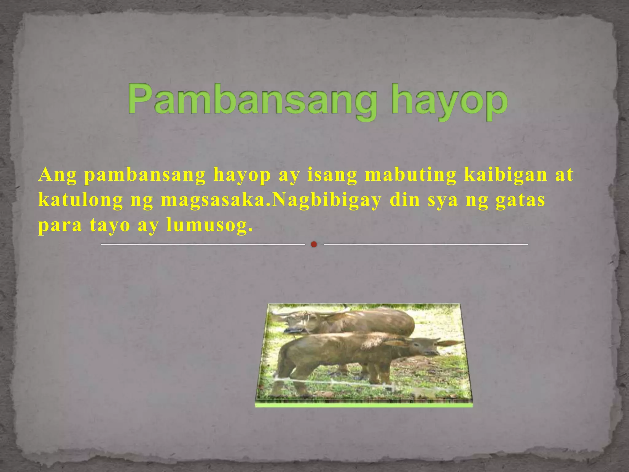 Pambansang Hayop