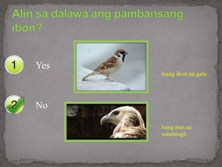 Pambansang sagisag | PPTX
