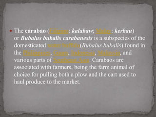 Pambansang sagisag | PPTX