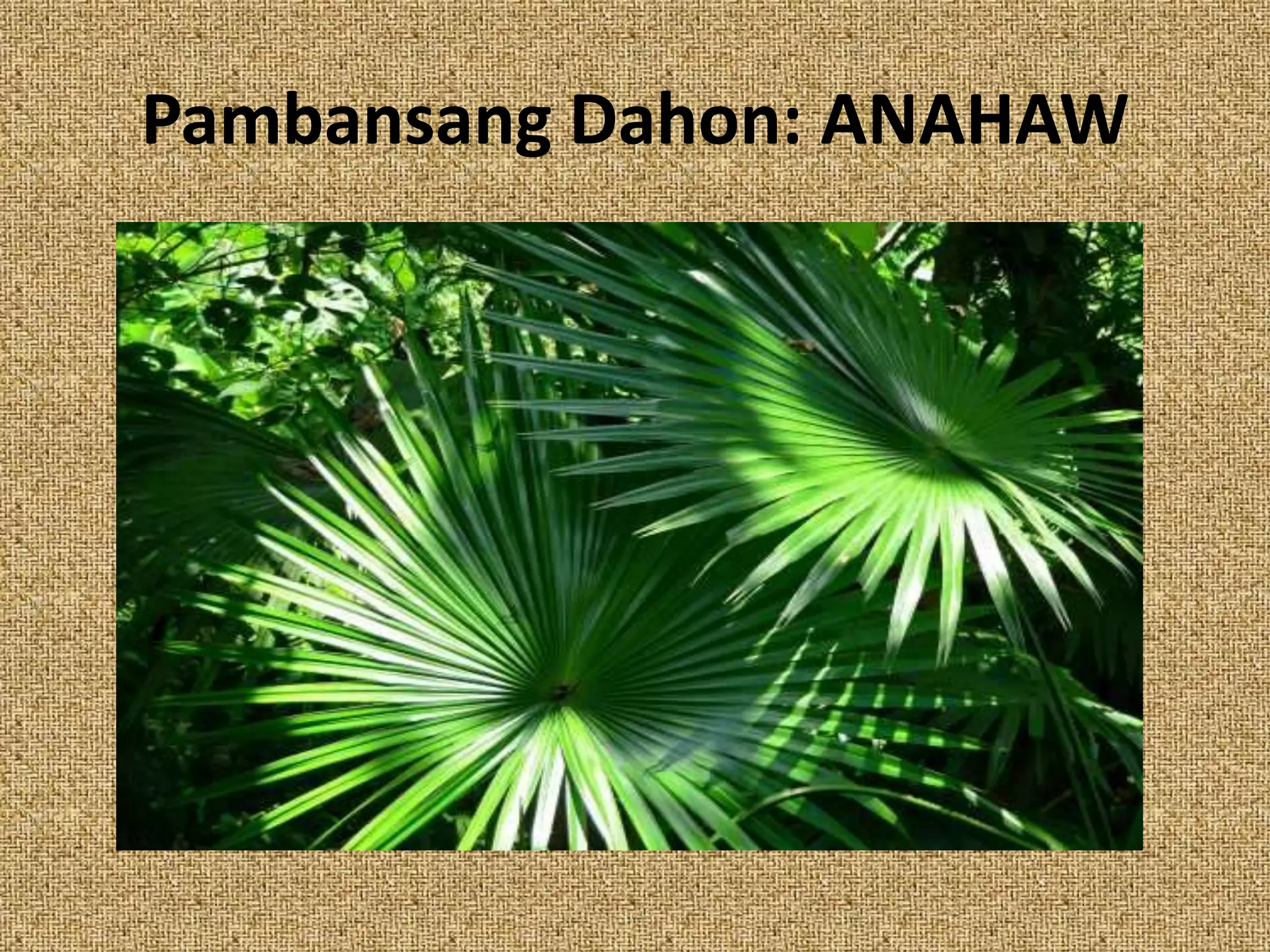 Pambansang Sagisag ng Pilipinas | PPTX