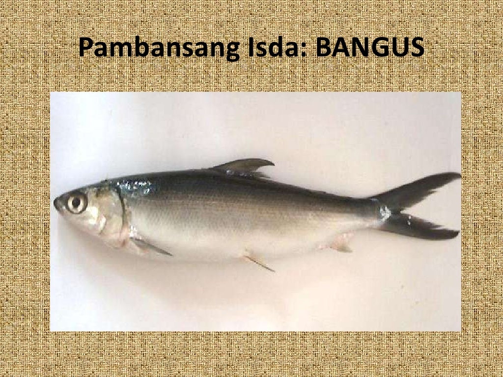 Pambansang Sagisag ng Pilipinas