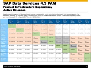 SAP Data Services PAM . Tabelas de itens de consideração | PDF