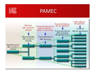 Pamec | PPTX