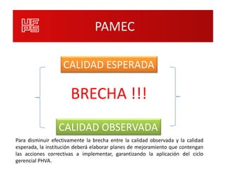 Pamec | PPTX