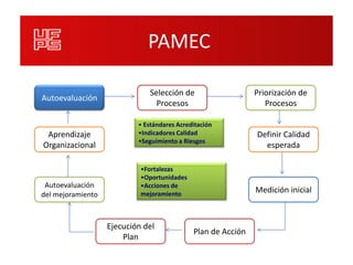 Pamec | PPTX