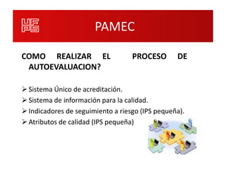 Pamec | PPTX