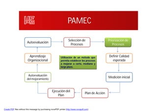 Pamec | PDF