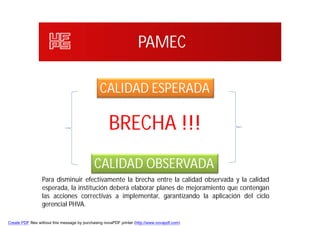 Pamec | PDF
