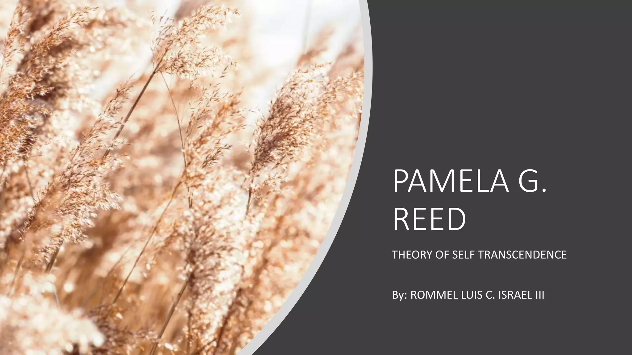 PAMELA G. REED | PPTX