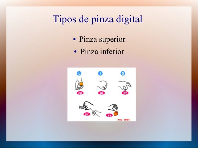 Pamela quingaluisa practica 01