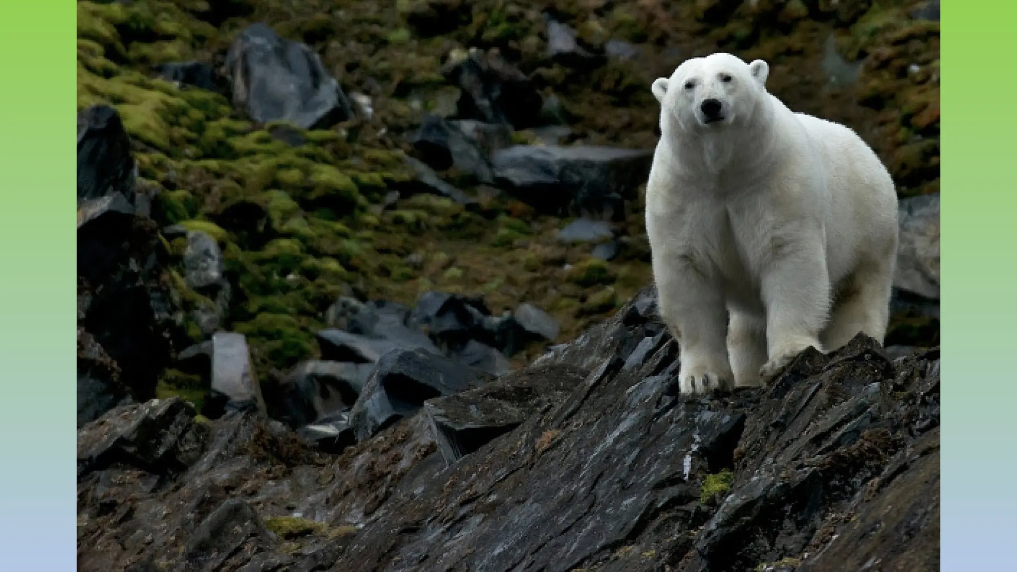 Pamilya sa Pagbabago ng Klima (Climate Change.pptx