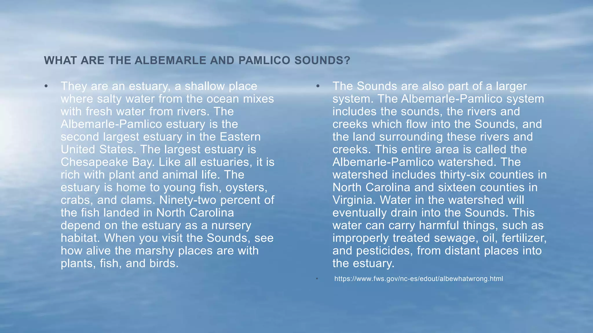 Pamlico sound estuary | PPTX