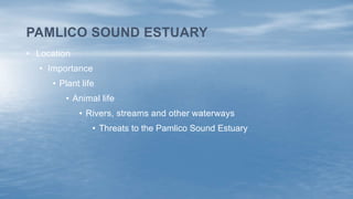 Pamlico sound estuary | PPTX