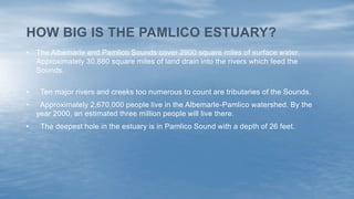 Pamlico sound estuary | PPTX