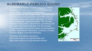 Pamlico sound estuary | PPTX | Zoos & Aquariums | Attractions