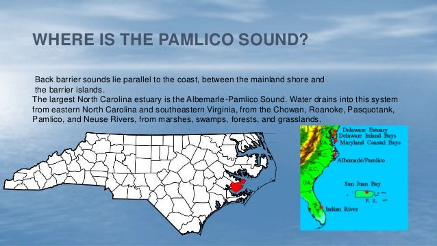 Pamlico sound estuary