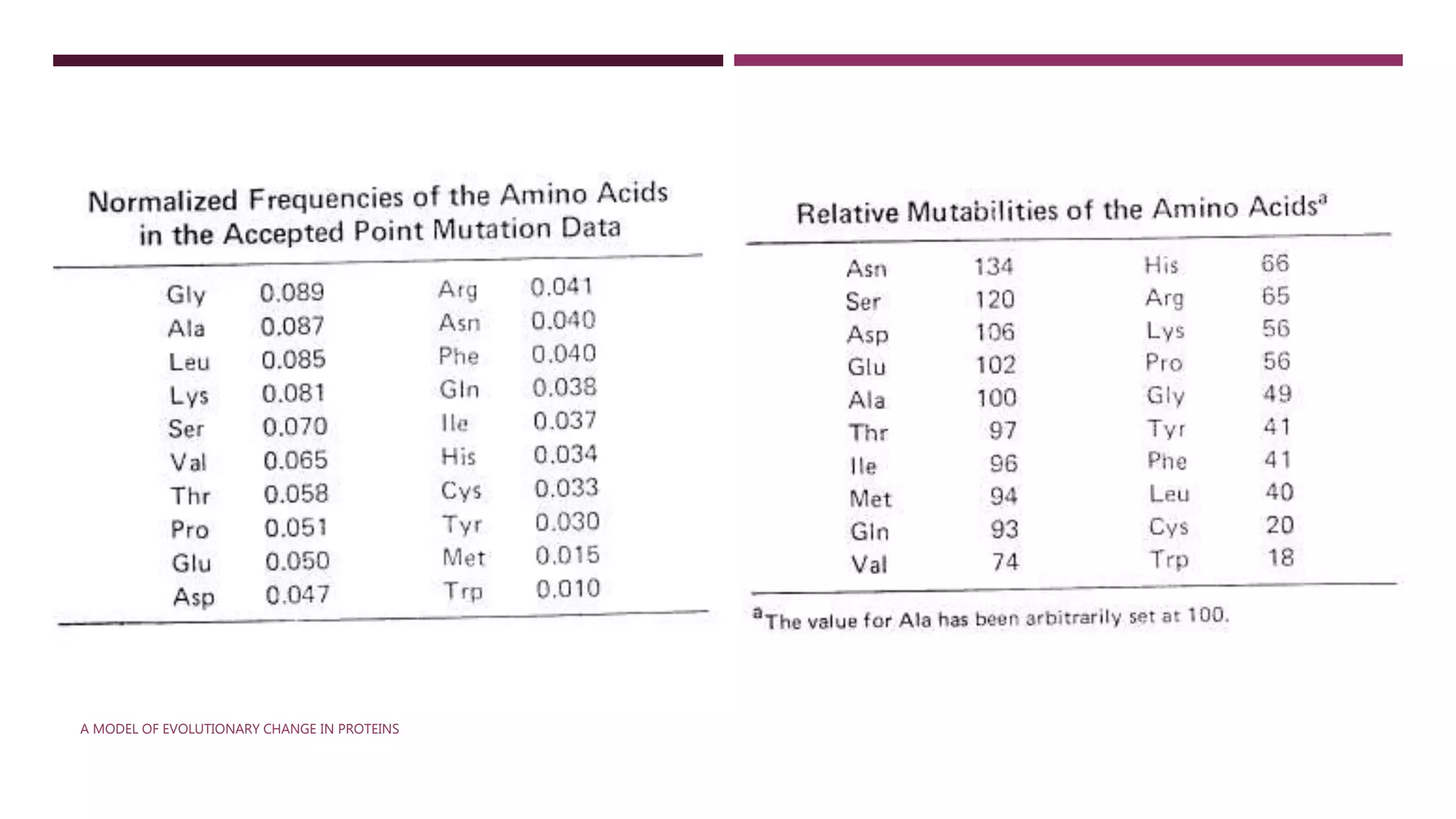 PAM matrices evolution | PPTX