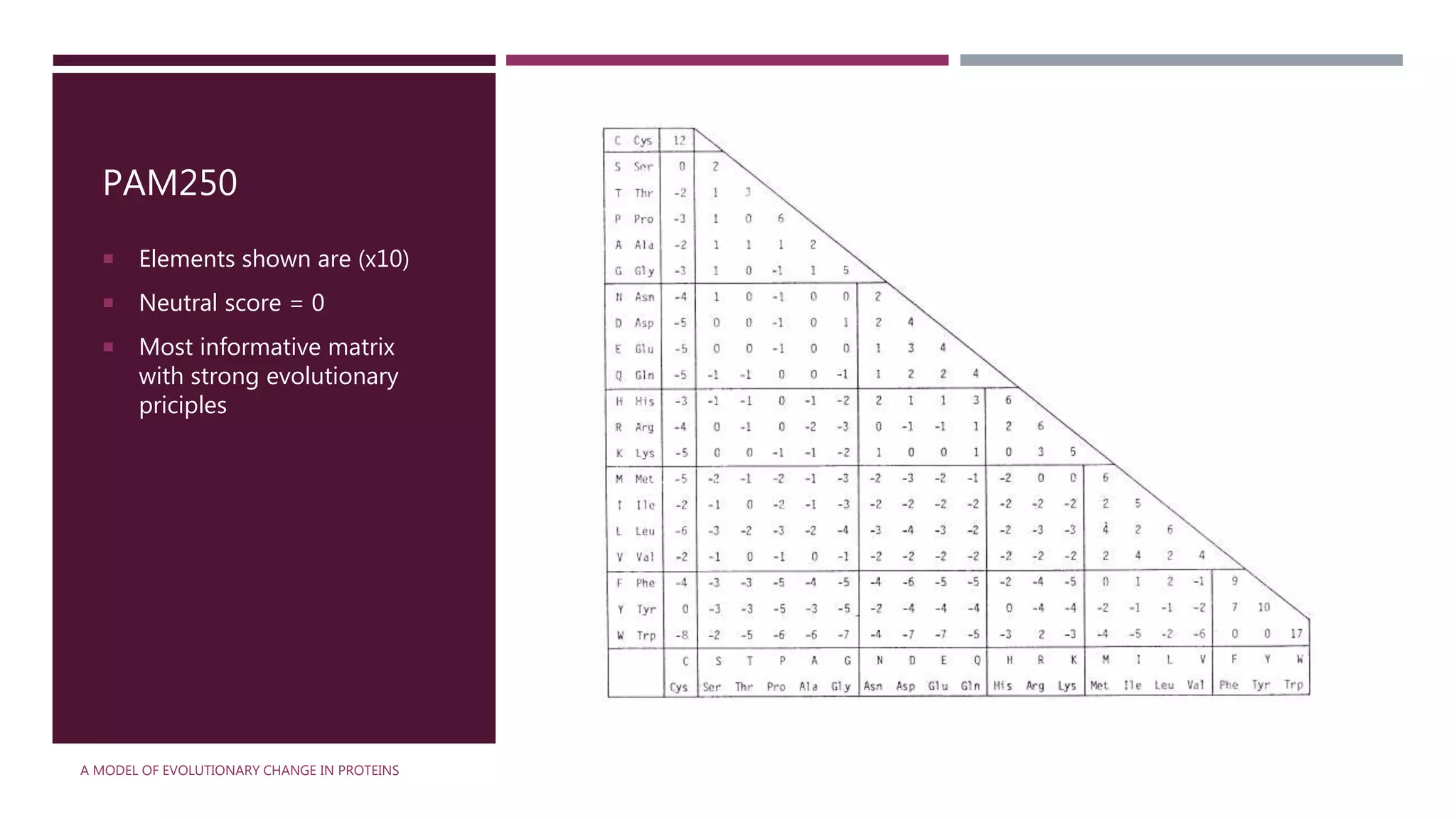 PAM matrices evolution | PPTX