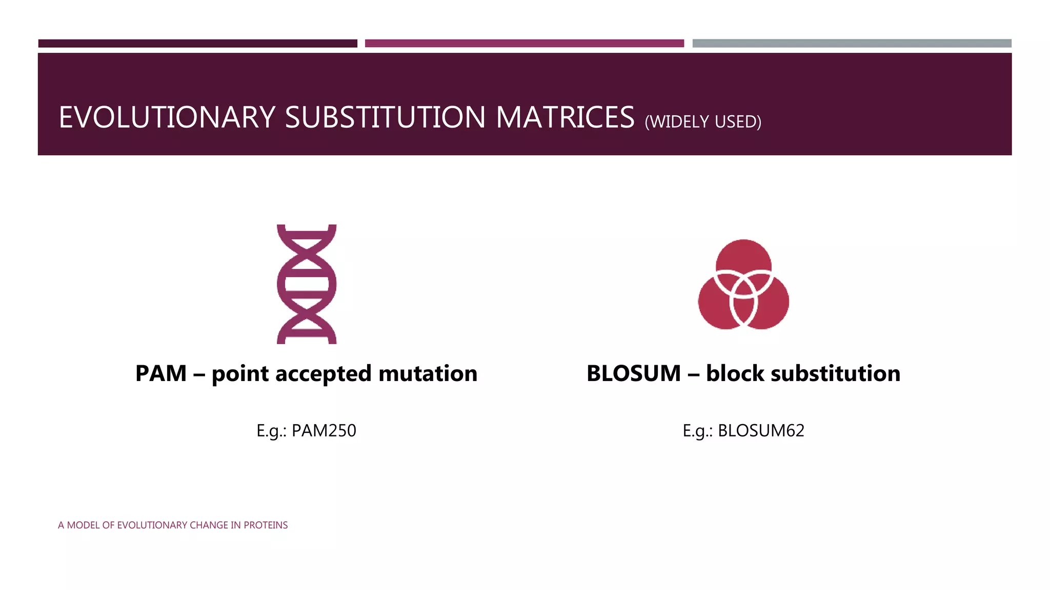 PAM matrices evolution | PPTX