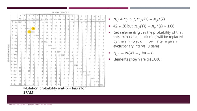 PAM matrices evolution | PPTX