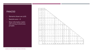 PAM matrices evolution | PPTX