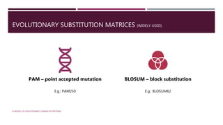 PAM matrices evolution | PPTX