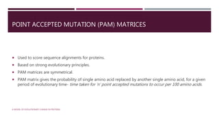 PAM matrices evolution | PPTX