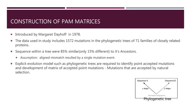 PAM matrices evolution | PPTX