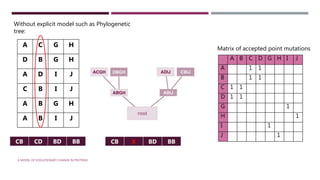 PAM matrices evolution | PPTX