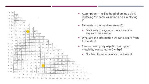 PAM matrices evolution | PPTX