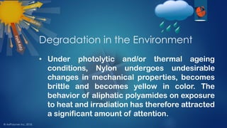 Nylon Degradation in Processing, Recycling and Service Life | PDF