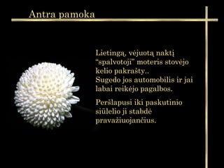 Pamokos tau ir_man_ | PPT