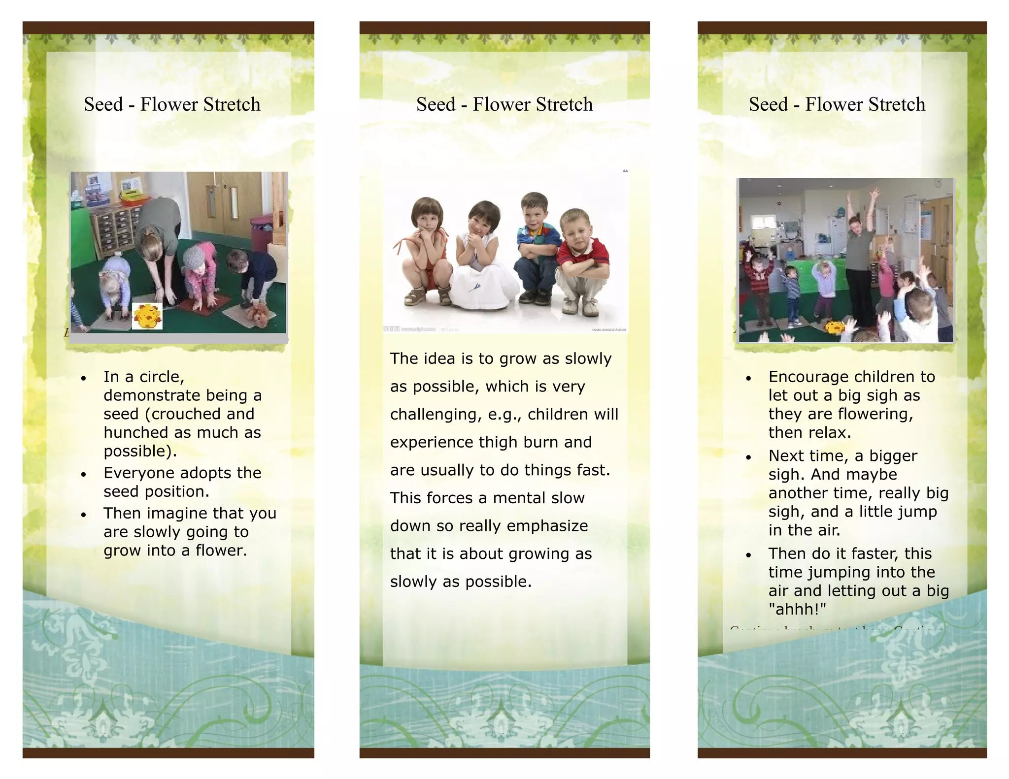 Health Resource Pamphlet | PPT