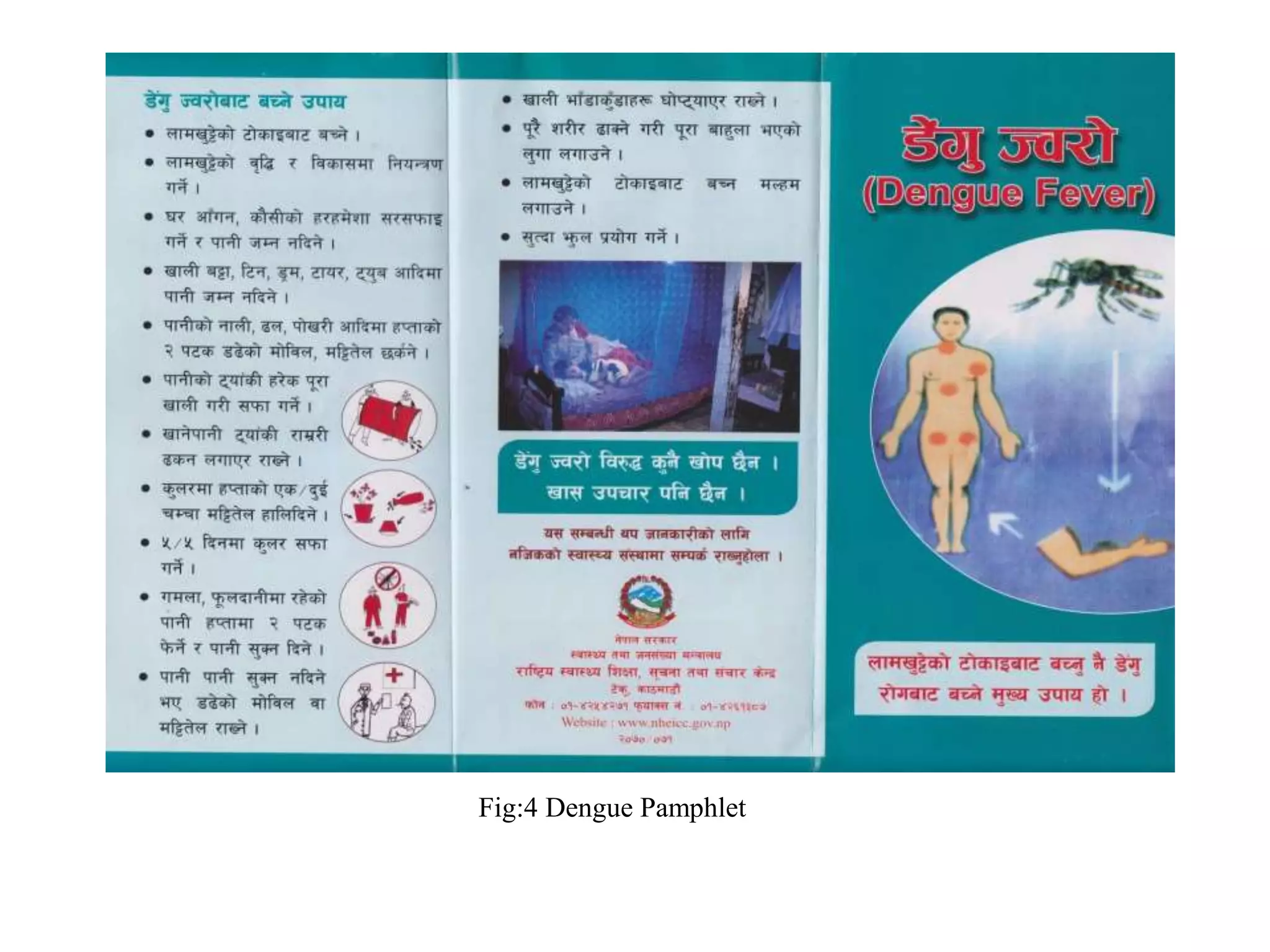 Pamphlet Powerpoint by Biplov Thapa (Health Assistant) | PPTX