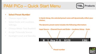 PAM PiCo - Training Guide | PPSX