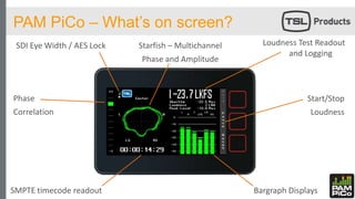 PAM PiCo - Training Guide | PPSX