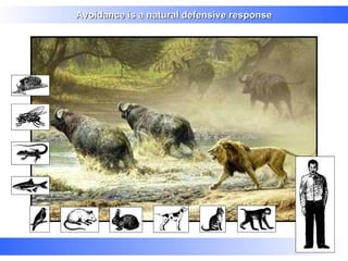 Fear incubation leads to generalized avoidance in an animal model of ...