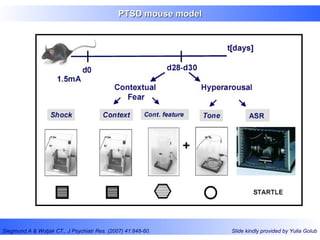 Fear incubation leads to generalized avoidance in an animal model of ...
