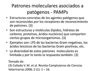 PAMPs y PRRs del SI innato | PPTX