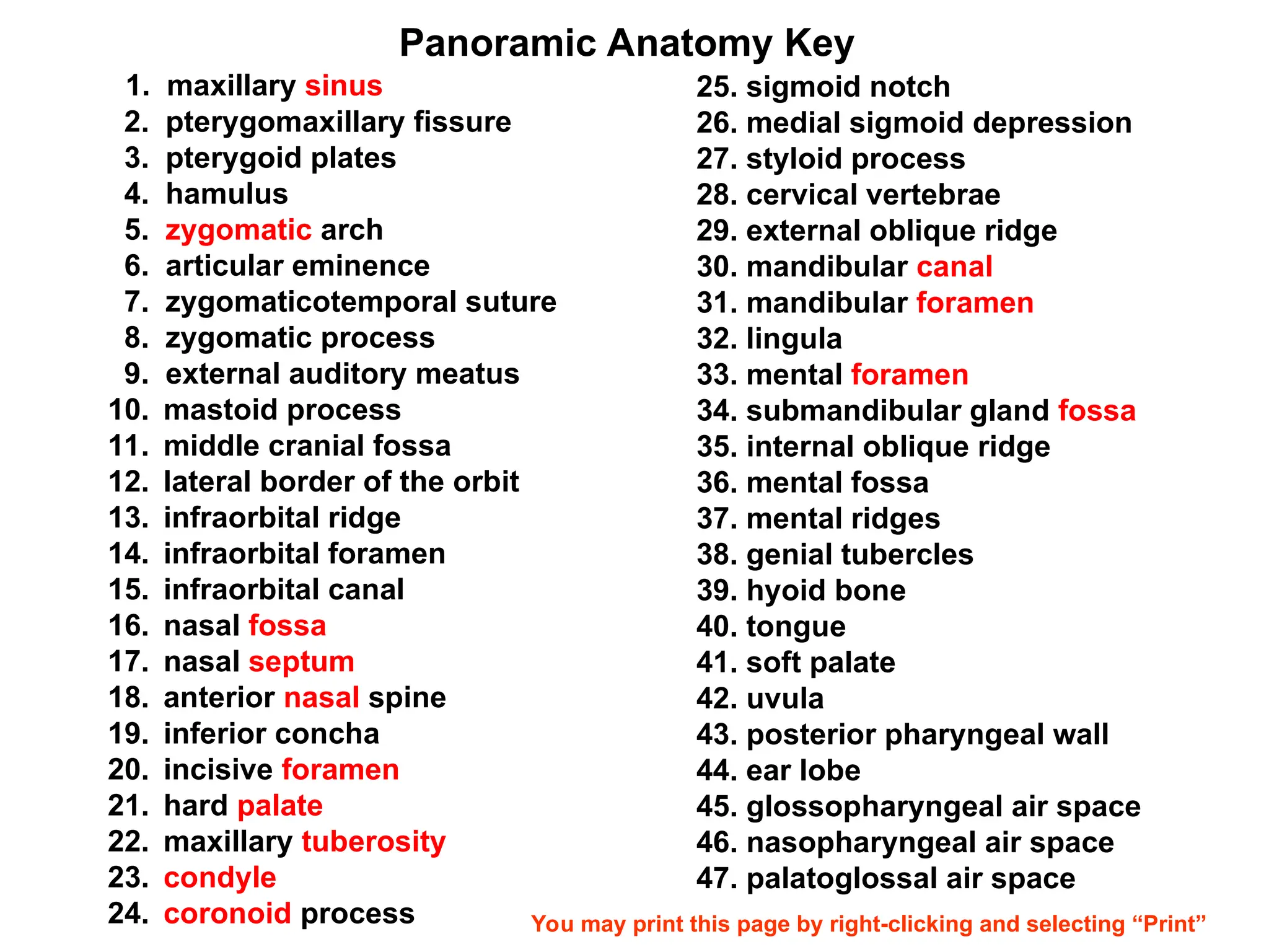 panoramic radiographic landmarks in dentistry | PPT
