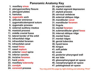 panoramic radiographic landmarks in dentistry | PPT
