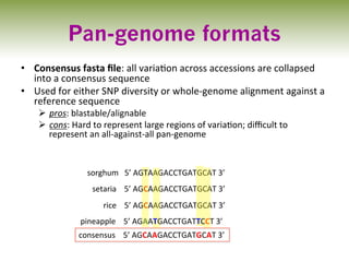 AgBioData: Complexity and Diversity of the Pan-Genome | PDF