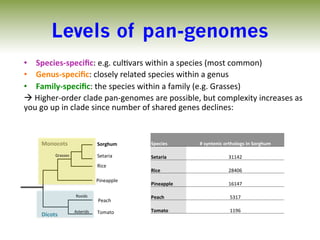AgBioData: Complexity and Diversity of the Pan-Genome | PDF