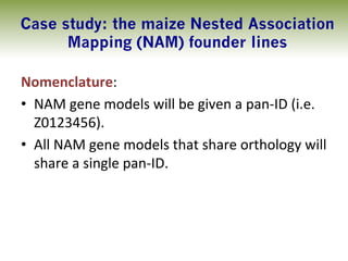 AgBioData: Complexity and Diversity of the Pan-Genome | PDF