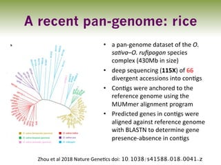 AgBioData: Complexity and Diversity of the Pan-Genome | PDF